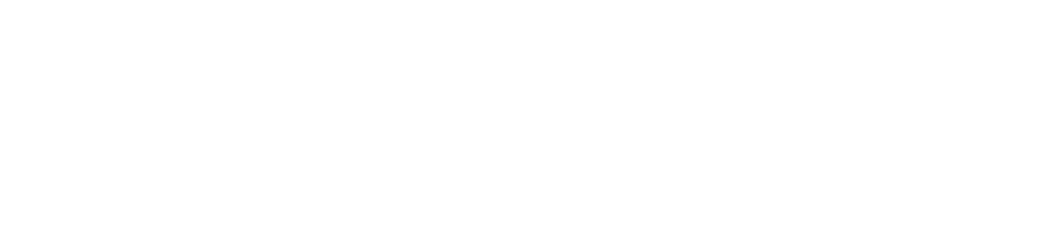 Bespoke Systems - Process Vision